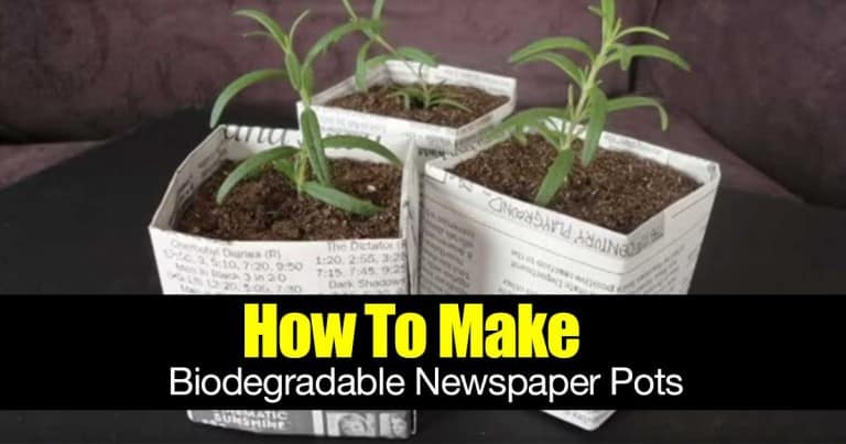 How To Make Biodegradable Newspaper Pots