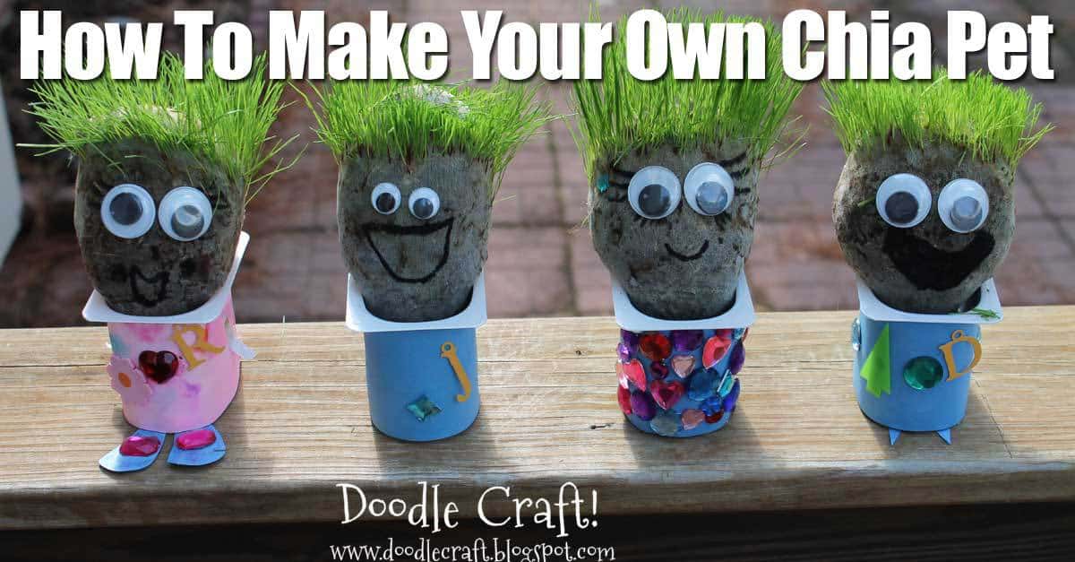 How To Make Your Own Chia Pet How To Make Your Own Chia Pet
