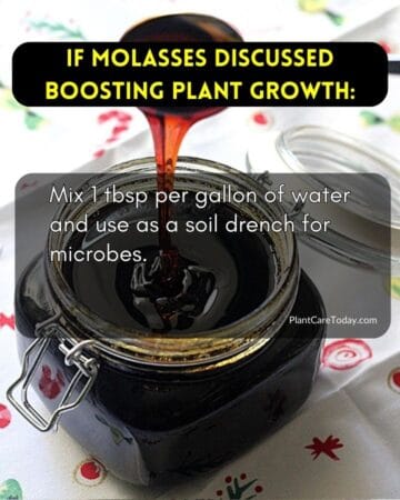 How To Use Molasses For Plant Fertilizer And Growth