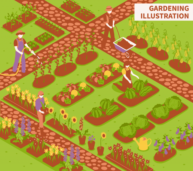 10-10-10-fertilizer-how-to-use-it-and-what-are-the-benefits