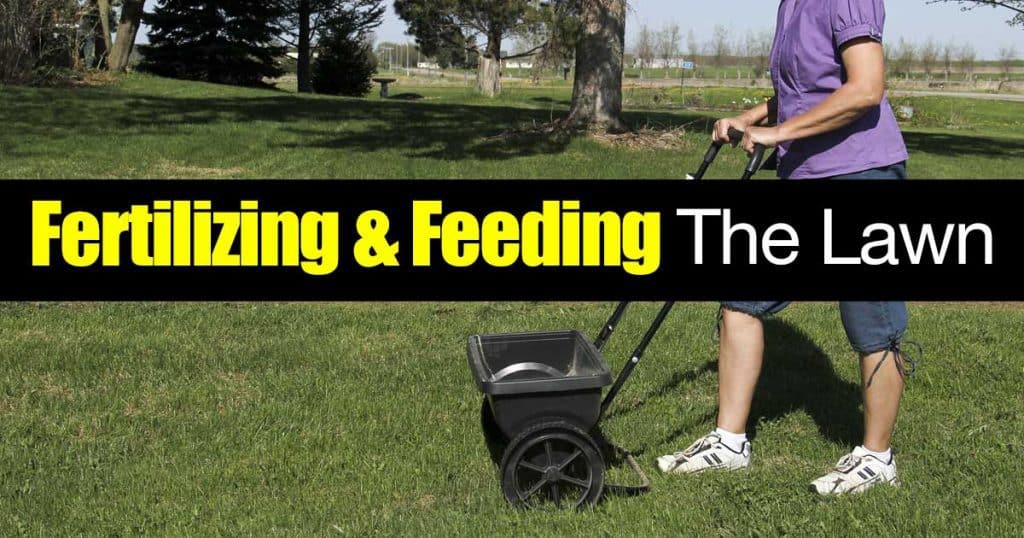 Lawn Fertilization: How To Feed And Fertilize For Healthy Grass