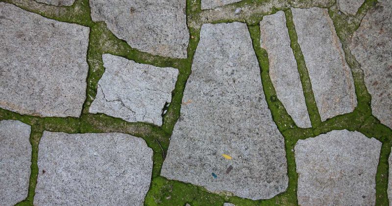 Garden Stone Types: Choosing The Right Stone For Your Garden