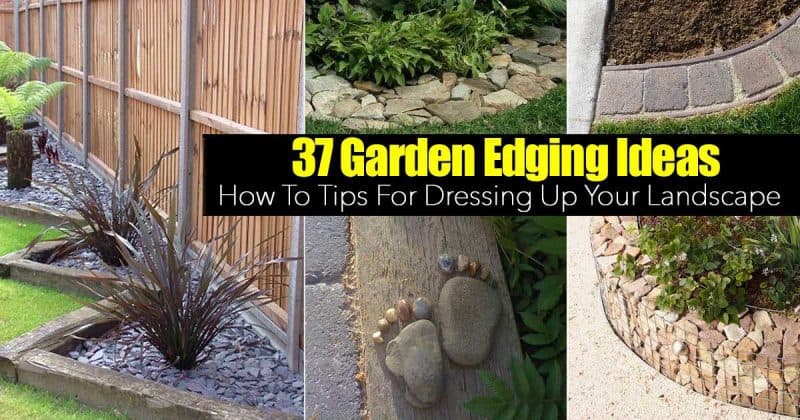 Diy Concrete Landscape Edging Ideas