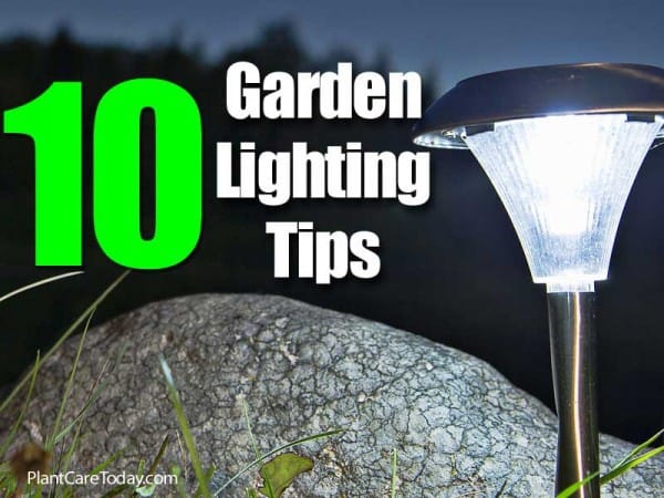 10 Garden Lighting Tips: #3 - How To Best Use Spotlights In The Landscape
