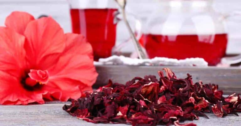 can-you-eat-hibiscus-flowers-and-when-you-shouldn-t