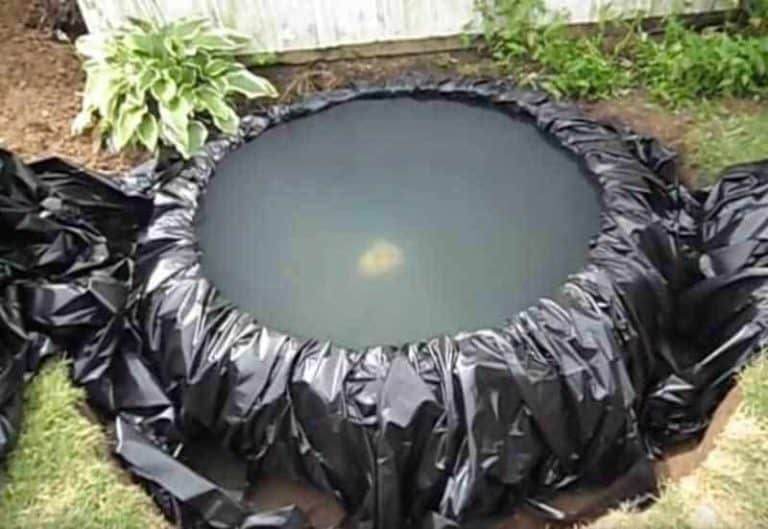 How To Make A Beautiful Backyard Pond From An Old Tractor Tire!