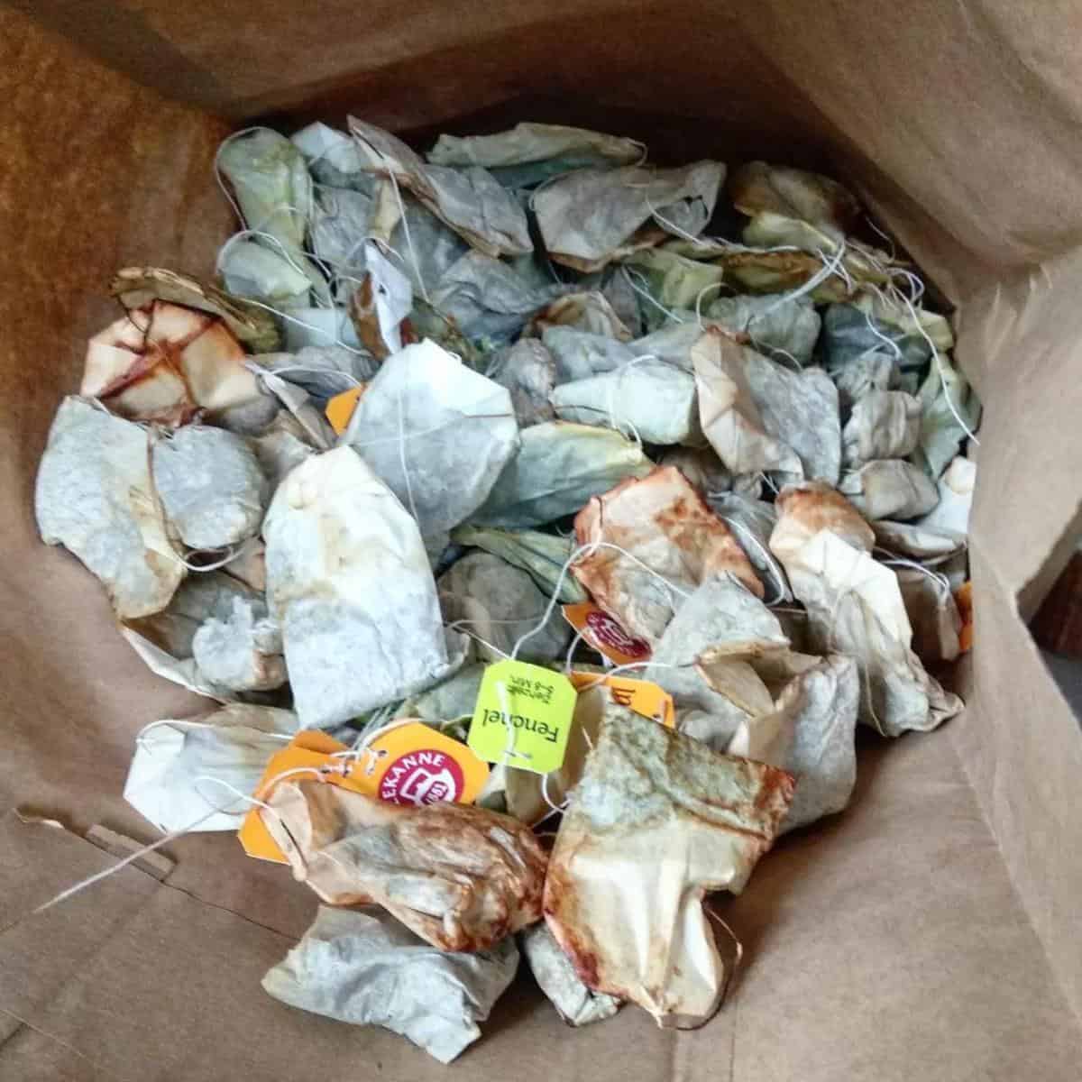7 Ways To Reuse Old Used Tea Bags In The Garden, #3 Brilliant!