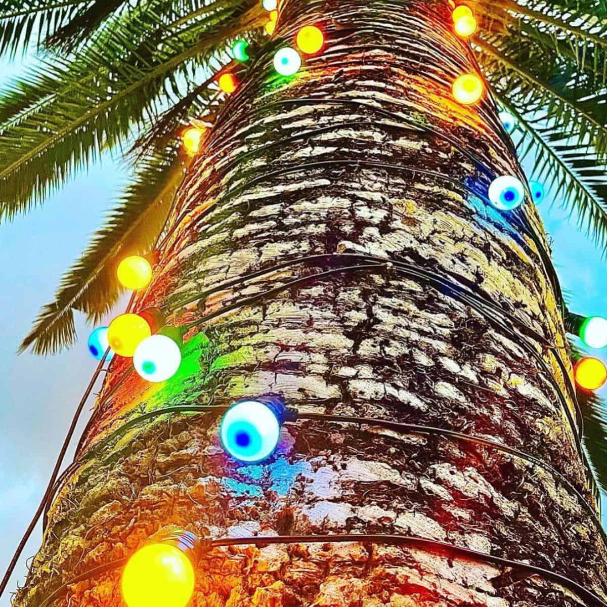 Lighting Palm Trees: Illuminate Palms, Trees and Shrubs [HOW TO]