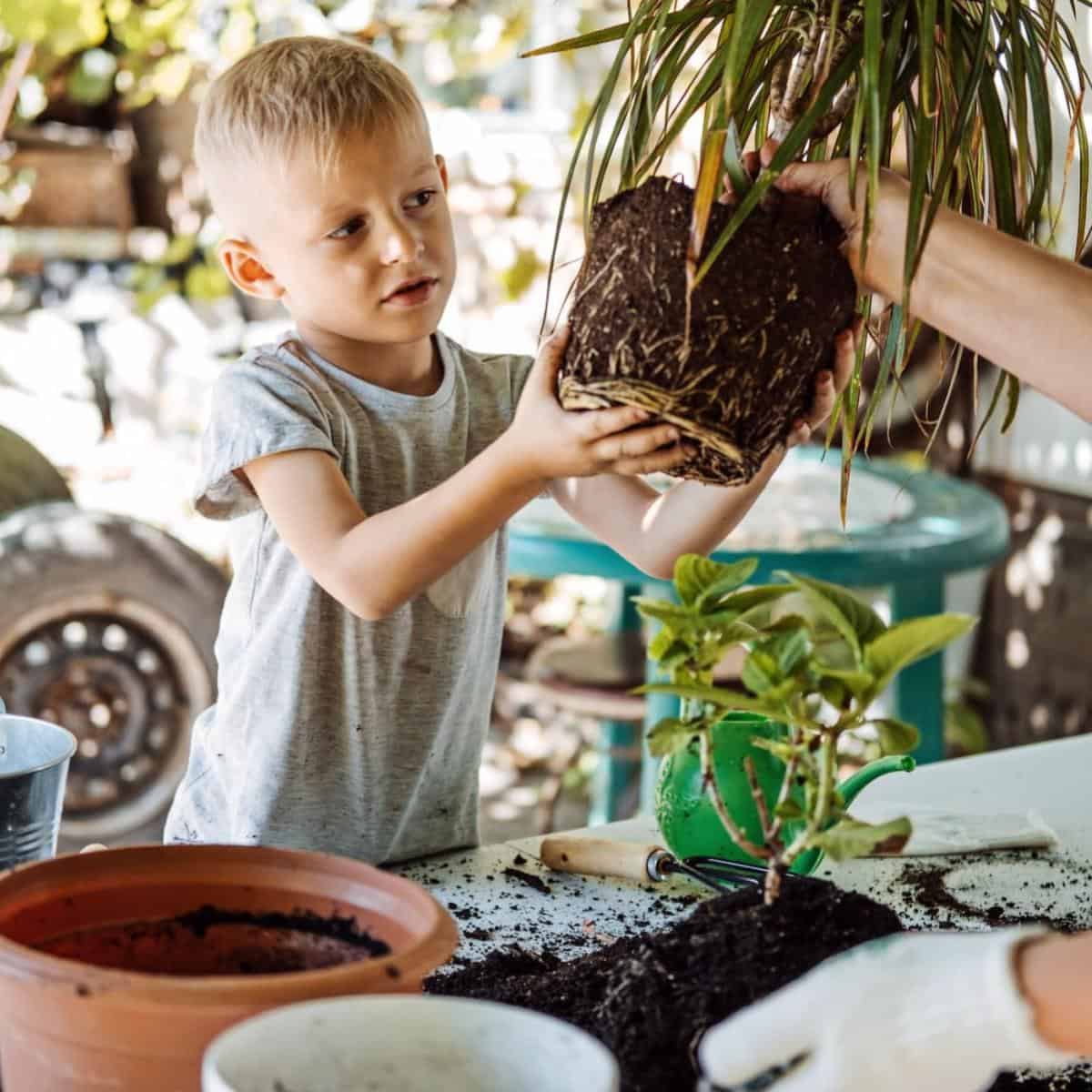 Plants Boost Kids' Focus? Study Says Yes!