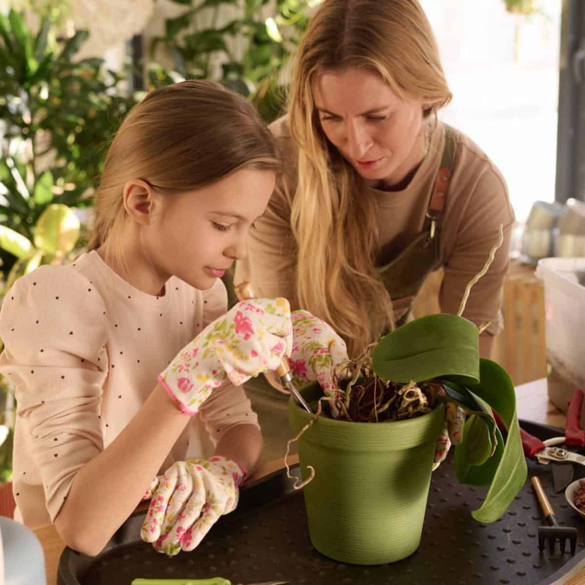 Plants Boost Kids' Focus? Study Says Yes!