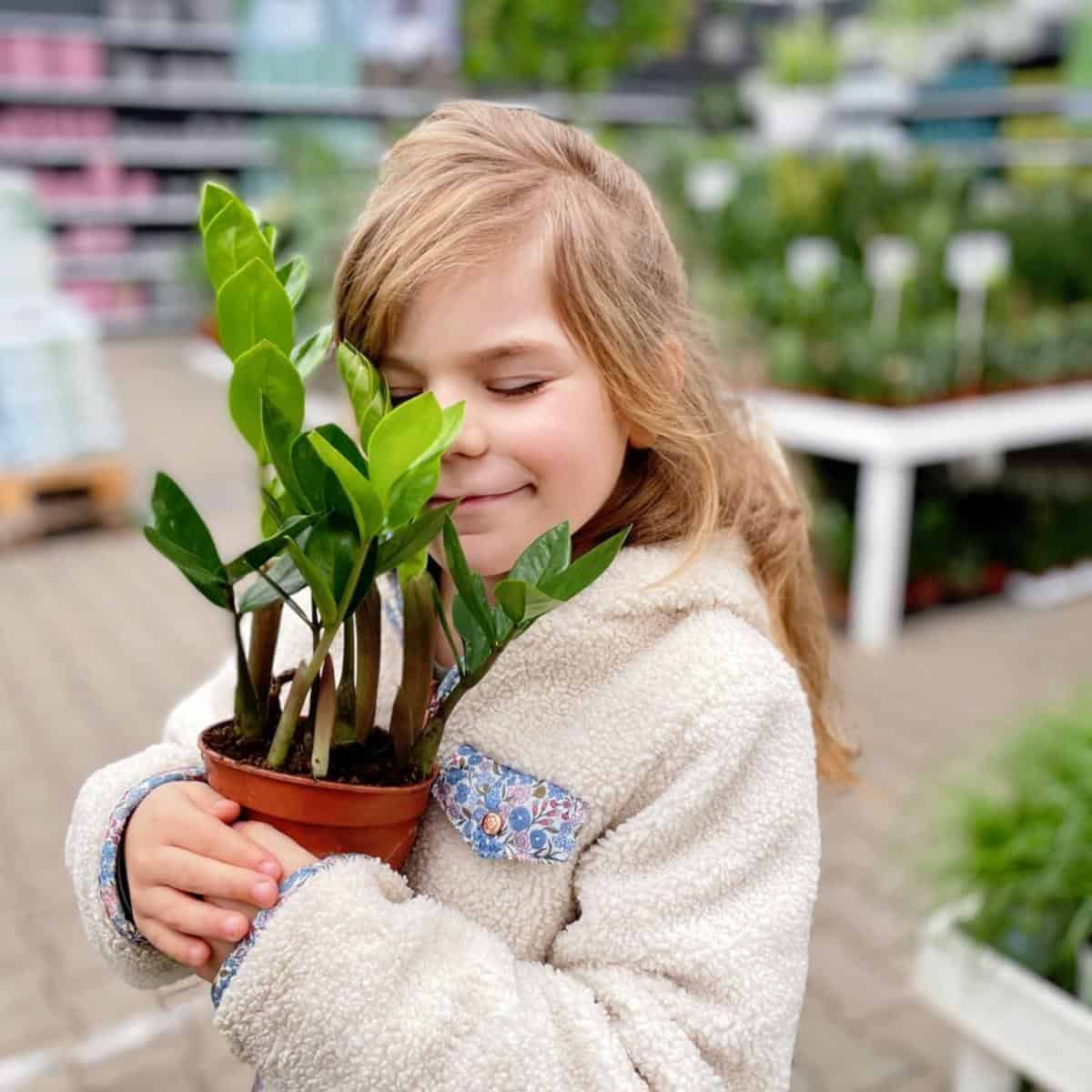 Plants Boost Kids' Focus? Study Says Yes!