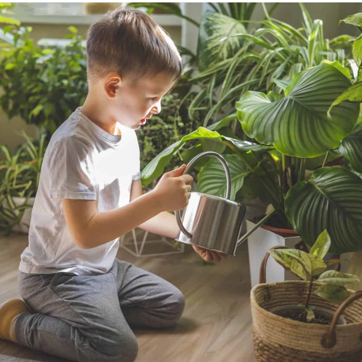 Plants Boost Kids' Focus? Study Says Yes!