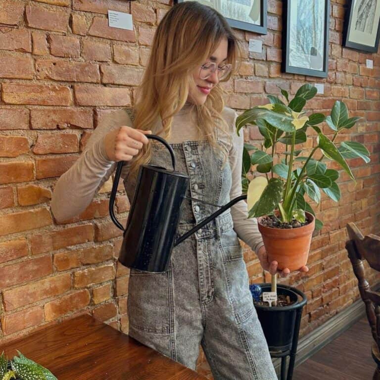 Neem Oil Soil Drench Recipe: Natural Protection for Your Plants"