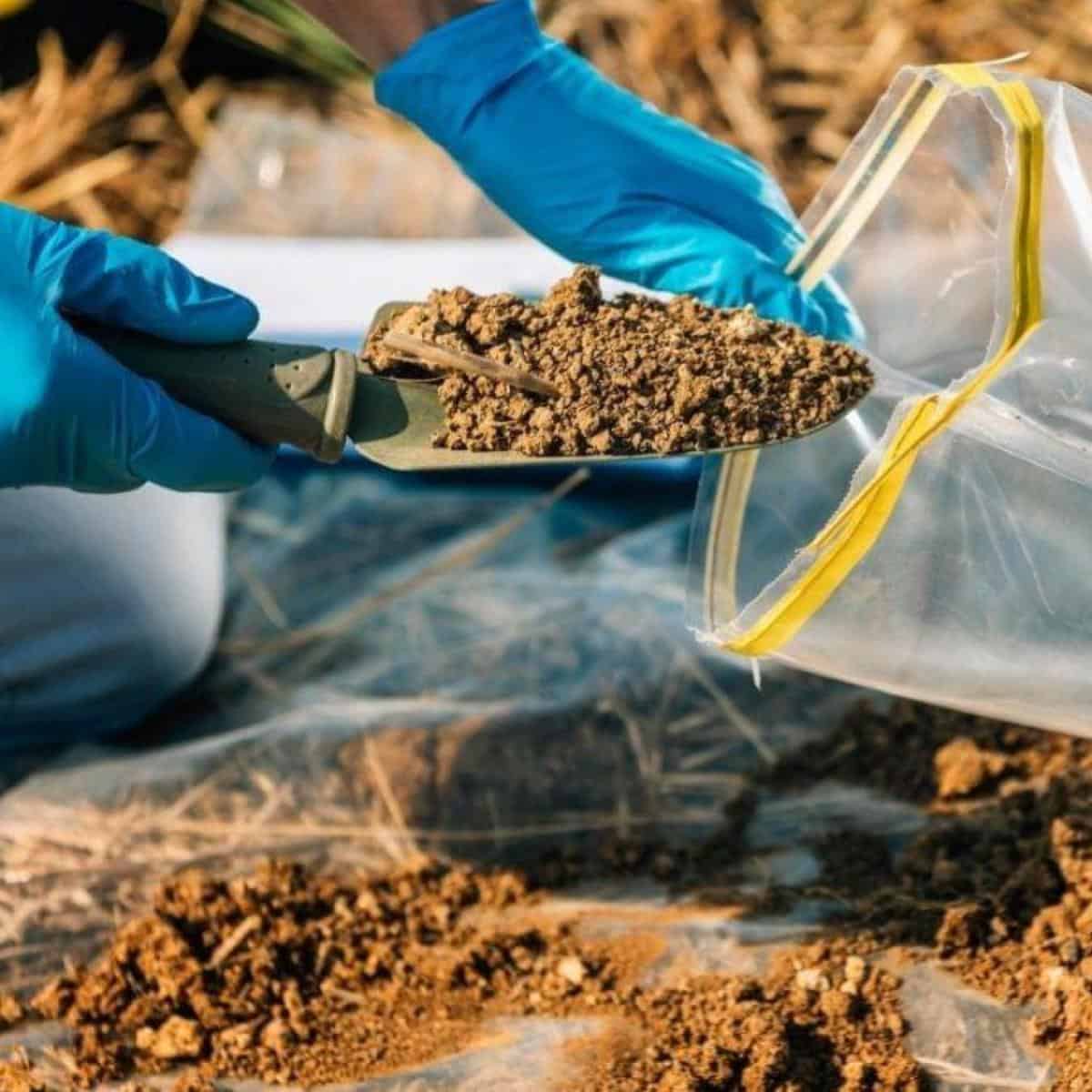 How Testing Soil pH Produces Better Plants And Better Yields