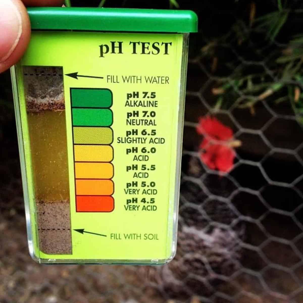 How Testing Soil pH Produces Better Plants And Better Yields