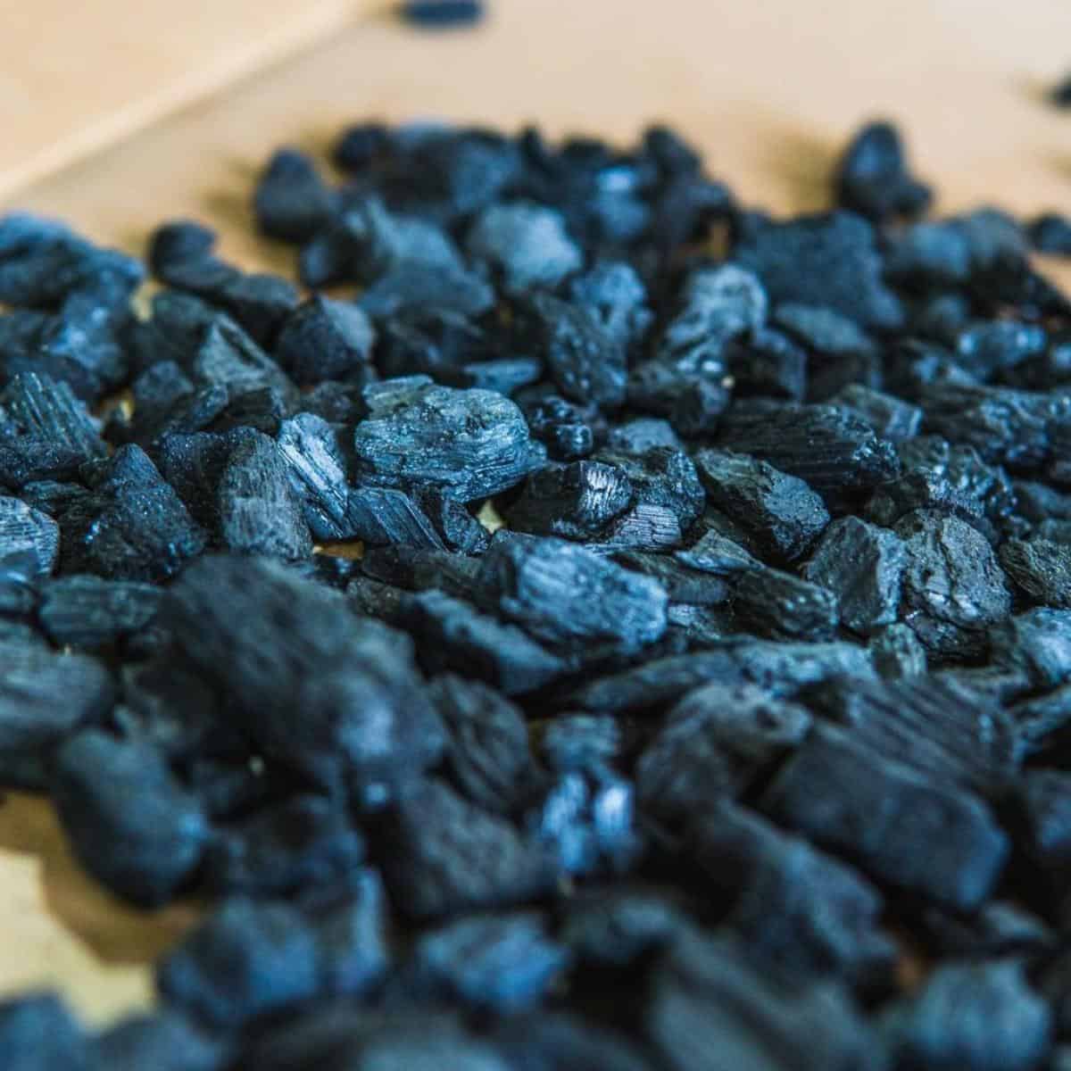 Horticultural Charcoal: What Is It And How Do You Use It?