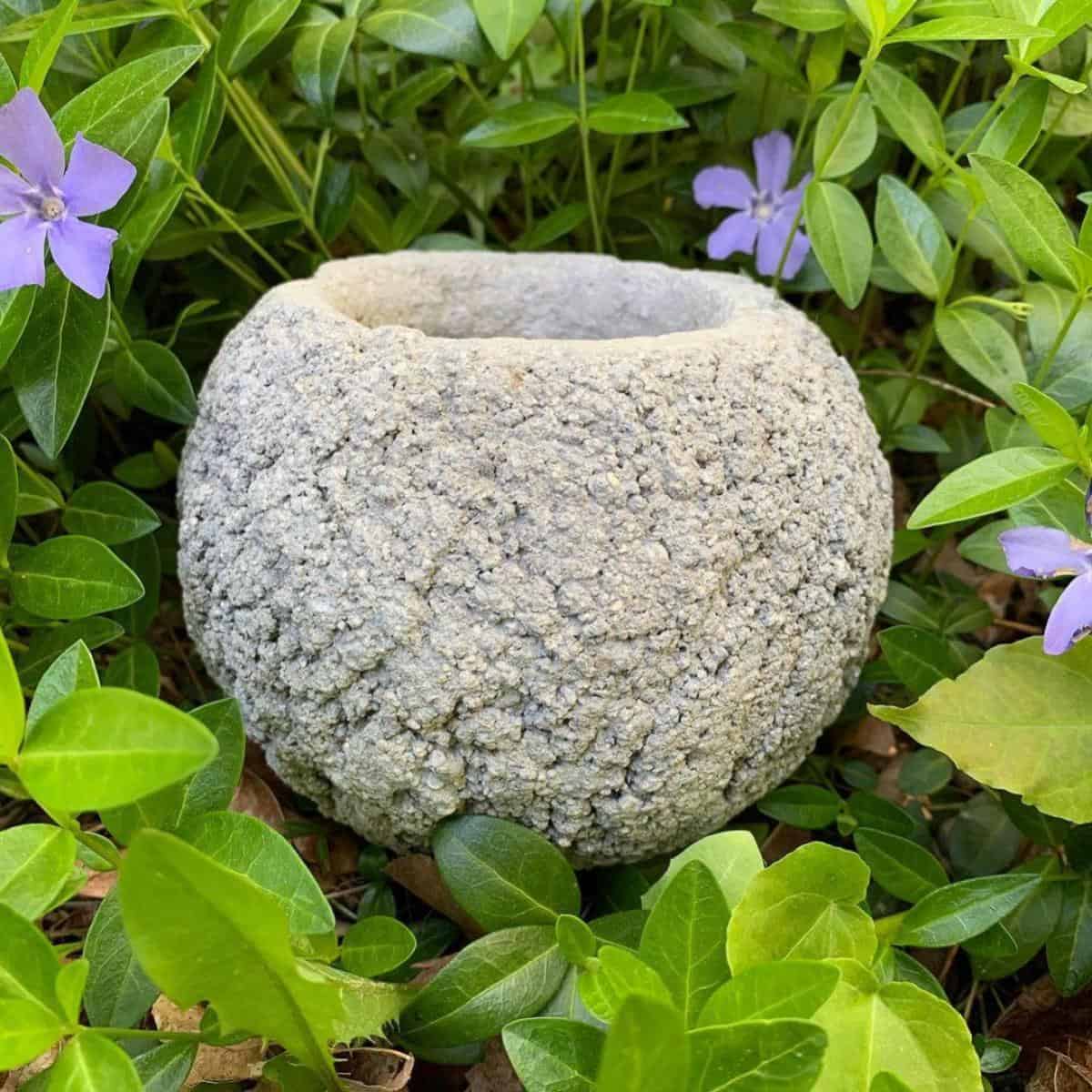 Hypertufa Pots: How To Make Lightweight And Durable Concrete Planters