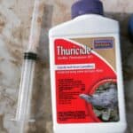 What Is Bacillus Thuringiensis, How To Use Bt In The Garden?
