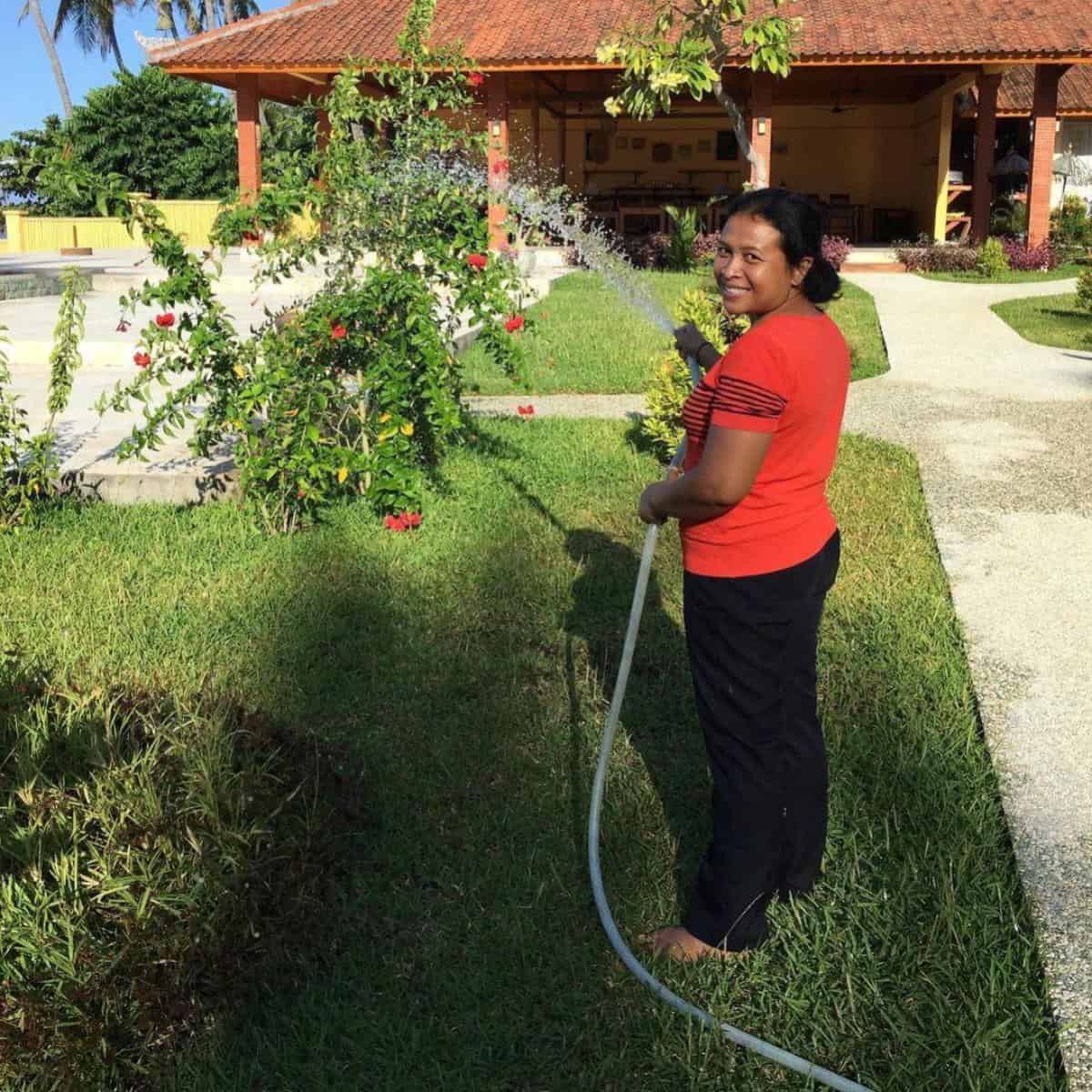 Watering Hibiscus Trees: How To Water Hibiscus Plants