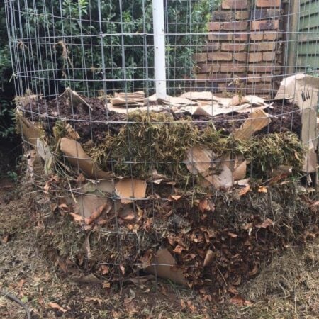 How To Use Cardboard In Compost: Do's And Don'ts