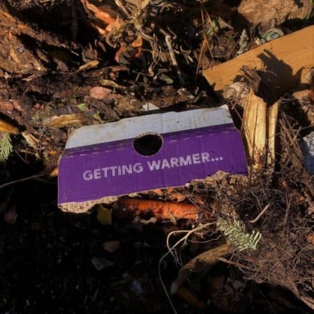 How To Use Cardboard In Compost: Do's And Don'ts