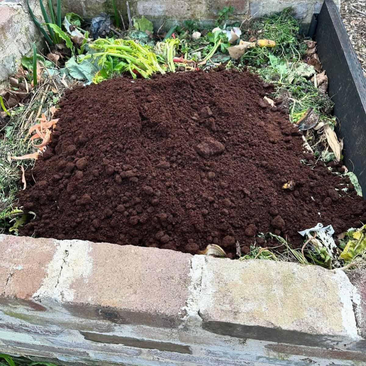 How To Compost Coffee Grounds: A Guide