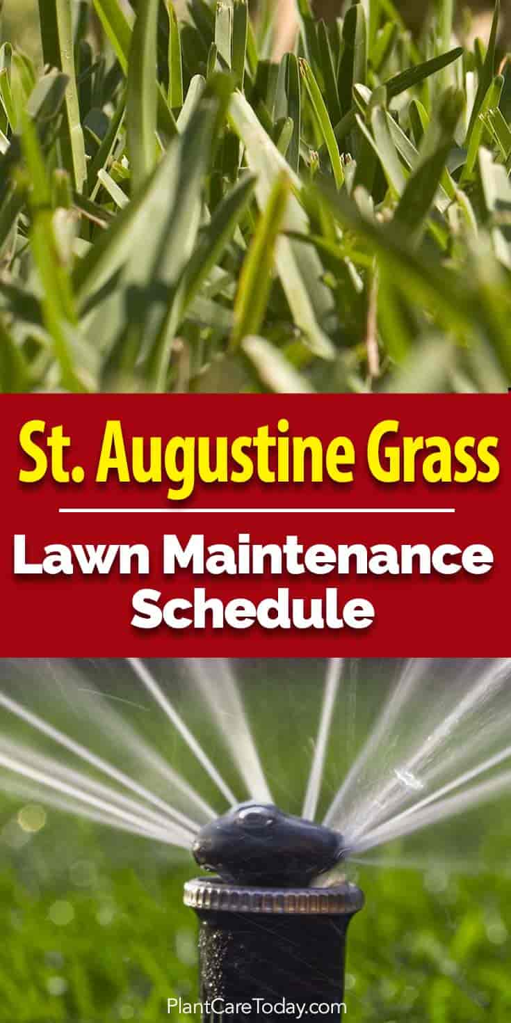 Scotts Fertilizer Schedule Examples And Forms