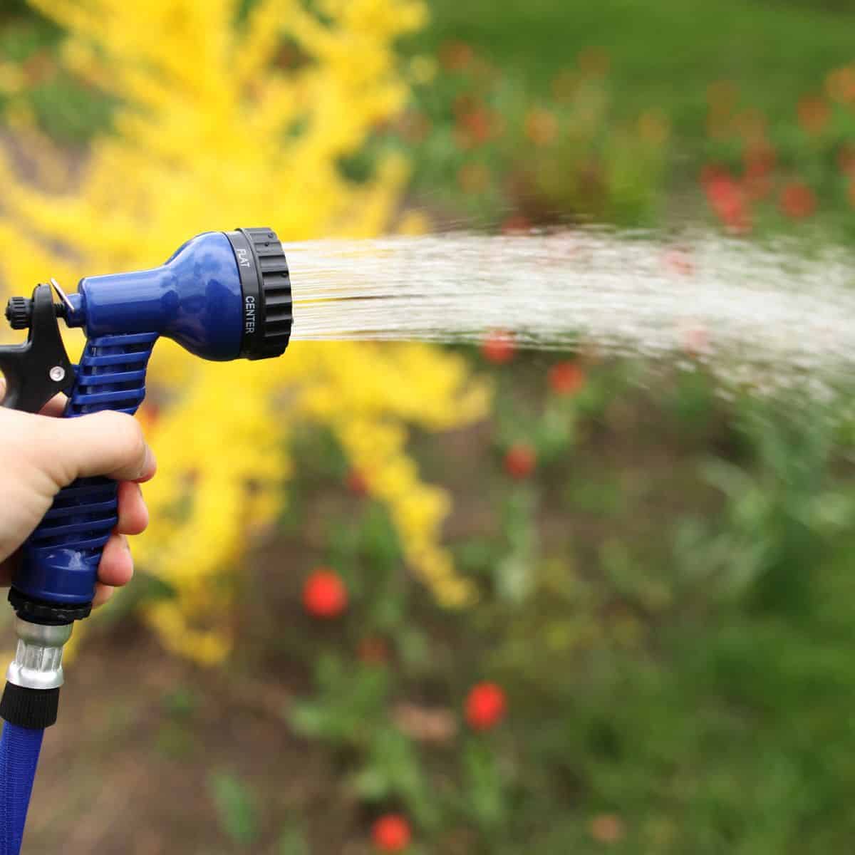 15 Gardening Tasks for February in the North